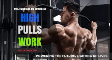 Dumbbell Sumo Squats: Target Muscles And Benefits Explained | CyVigor