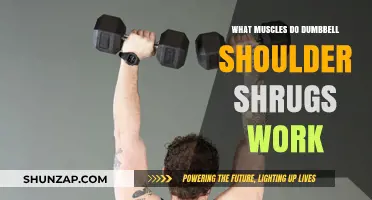 Dumbbell Hammer Curls: Target Muscles And Benefits Explained | CyVigor