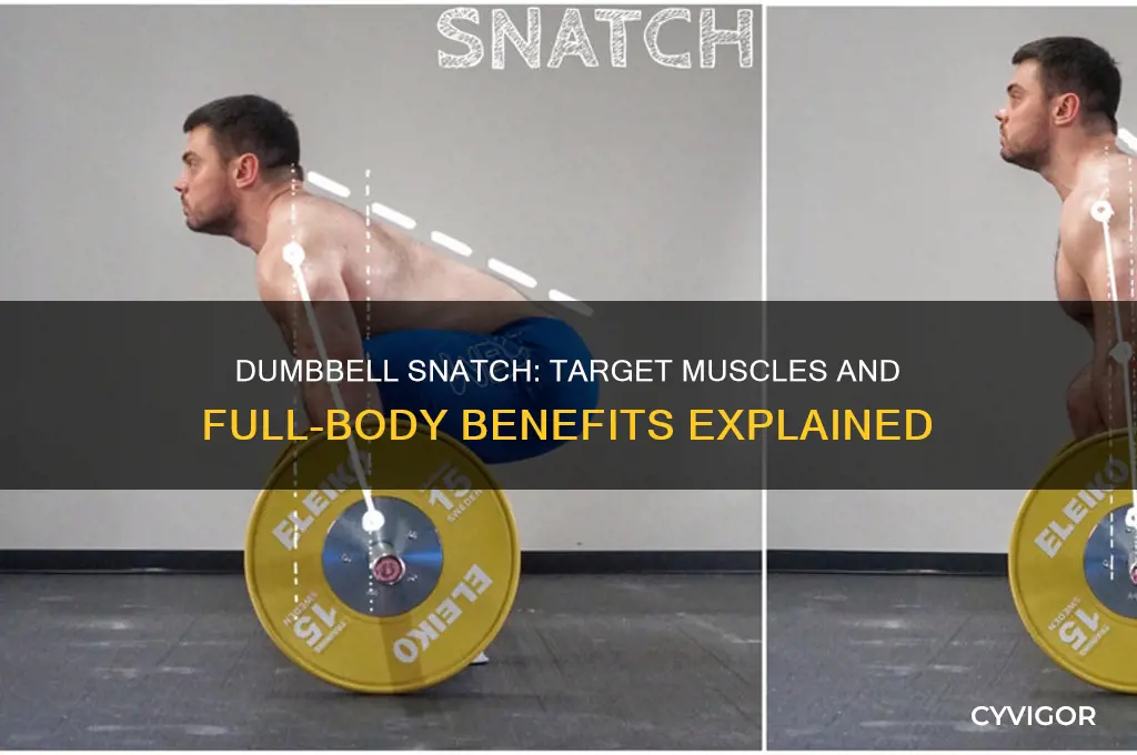 Dumbbell Snatch: Target Muscles And Full-Body Benefits Explained | CyVigor