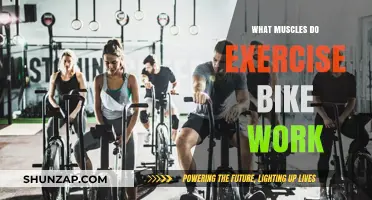 Farmers Walk Muscles Worked: Illustrated Guide To Strength Training ...