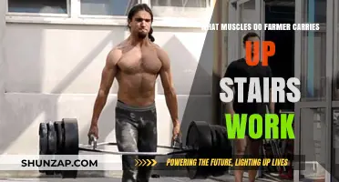 Farmers Walk Muscles Worked: Illustrated Guide To Strength Training ...