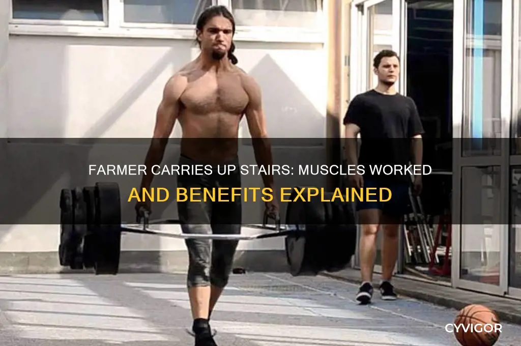 Farmer Carries Up Stairs: Muscles Worked And Benefits Explained | CyVigor