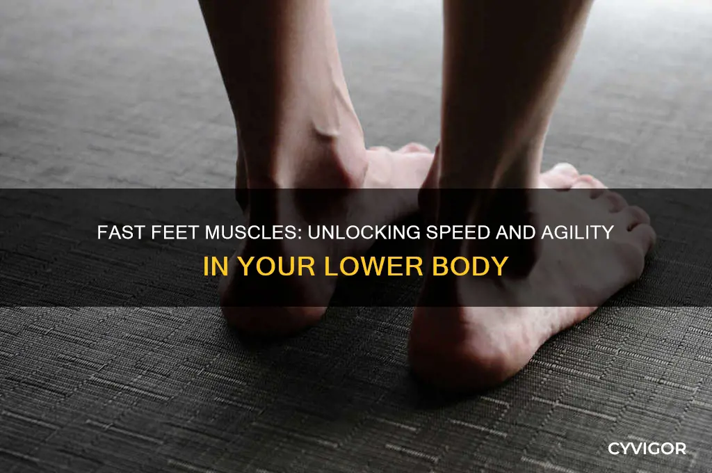 Fast Feet Muscles: Unlocking Speed And Agility In Your Lower Body | CyVigor