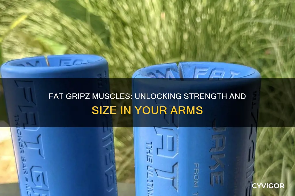 Fat Gripz Muscles: Unlocking Strength And Size In Your Arms | CyVigor