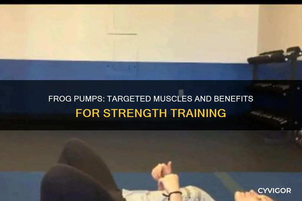 Frog Pumps: Targeted Muscles And Benefits For Strength Training | CyVigor
