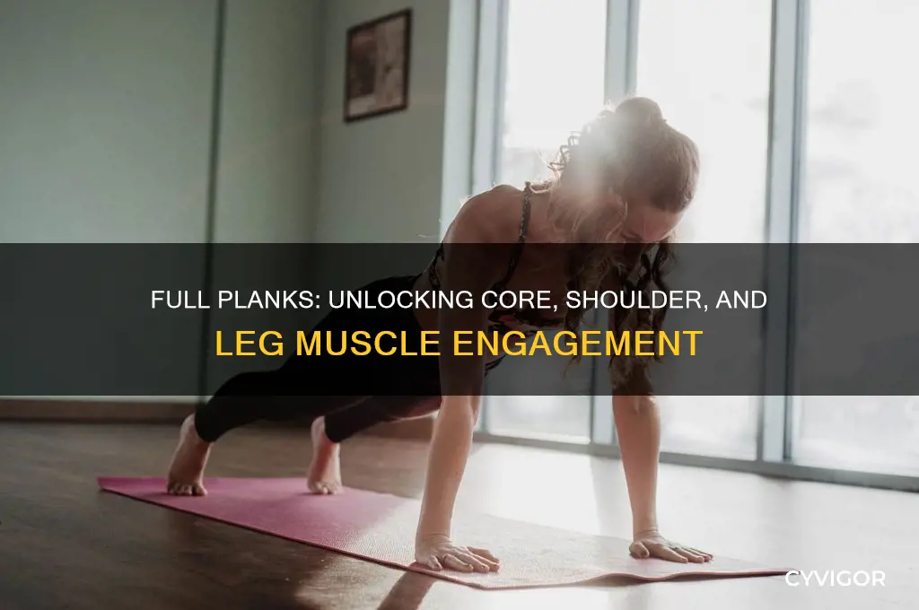 Full Planks: Unlocking Core, Shoulder, And Leg Muscle Engagement | CyVigor