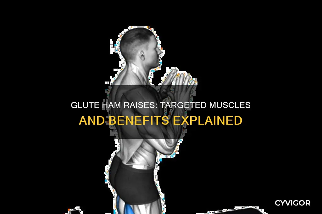Glute Ham Raises: Targeted Muscles And Benefits Explained | CyVigor