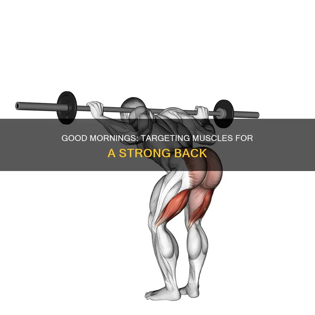 Good Mornings: Targeting Muscles For A Strong Back | CyVigor