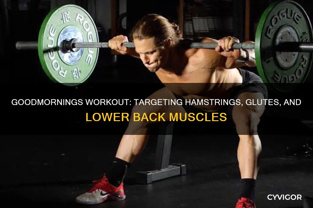 Goodmornings Workout: Targeting Hamstrings, Glutes, And Lower Back ...