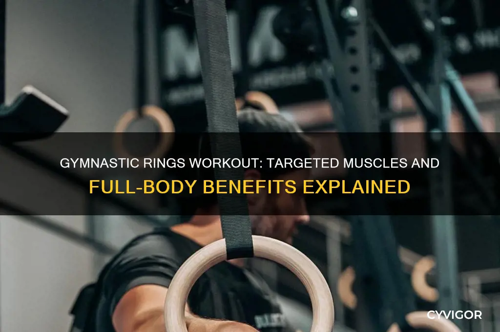 Gymnastic Rings Workout: Targeted Muscles And Full-Body Benefits ...