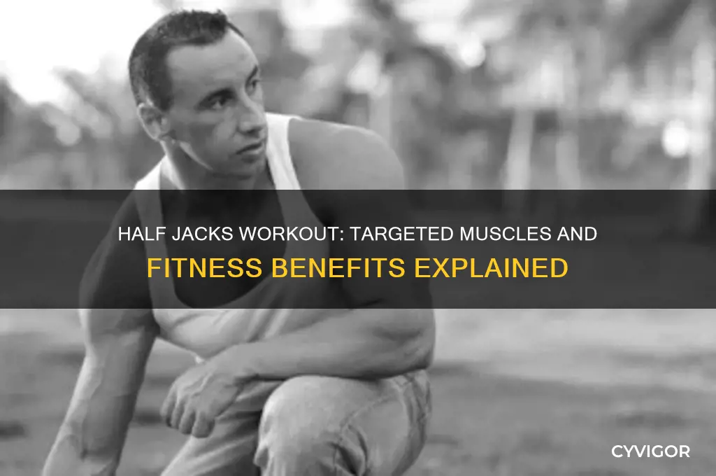 Half Jacks Workout: Targeted Muscles And Fitness Benefits Explained ...