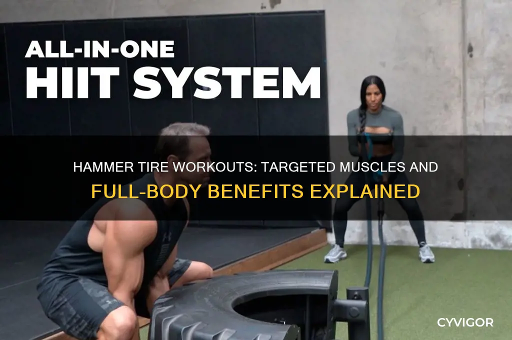 Hammer Tire Workouts: Targeted Muscles And Full-Body Benefits Explained ...