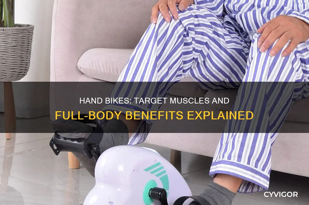 Hand Bikes: Target Muscles And Full-Body Benefits Explained | CyVigor