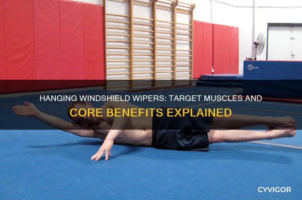 Hanging Windshield Wipers: Target Muscles And Core Benefits Explained ...