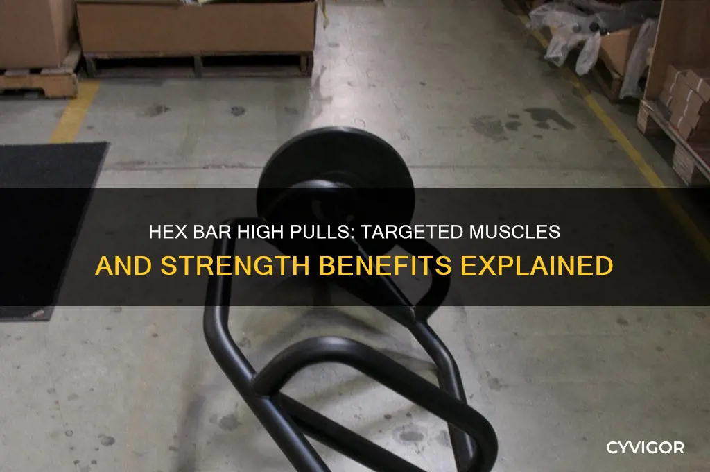 Hex Bar High Pulls: Targeted Muscles And Strength Benefits Explained ...