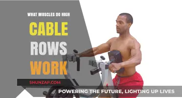 High Rows: Targeted Muscles And Benefits For Strength Training | CyVigor