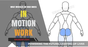 High Rows: Targeted Muscles And Benefits For Strength Training | CyVigor