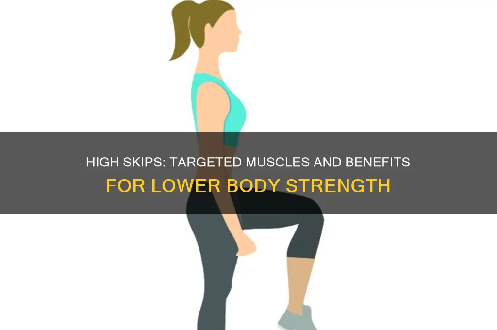 High Skips: Targeted Muscles And Benefits For Lower Body Strength | CyVigor