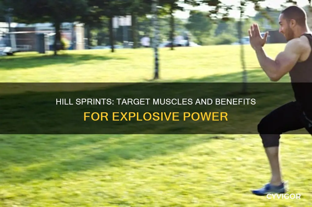 Hill Sprints: Target Muscles And Benefits For Explosive Power | CyVigor