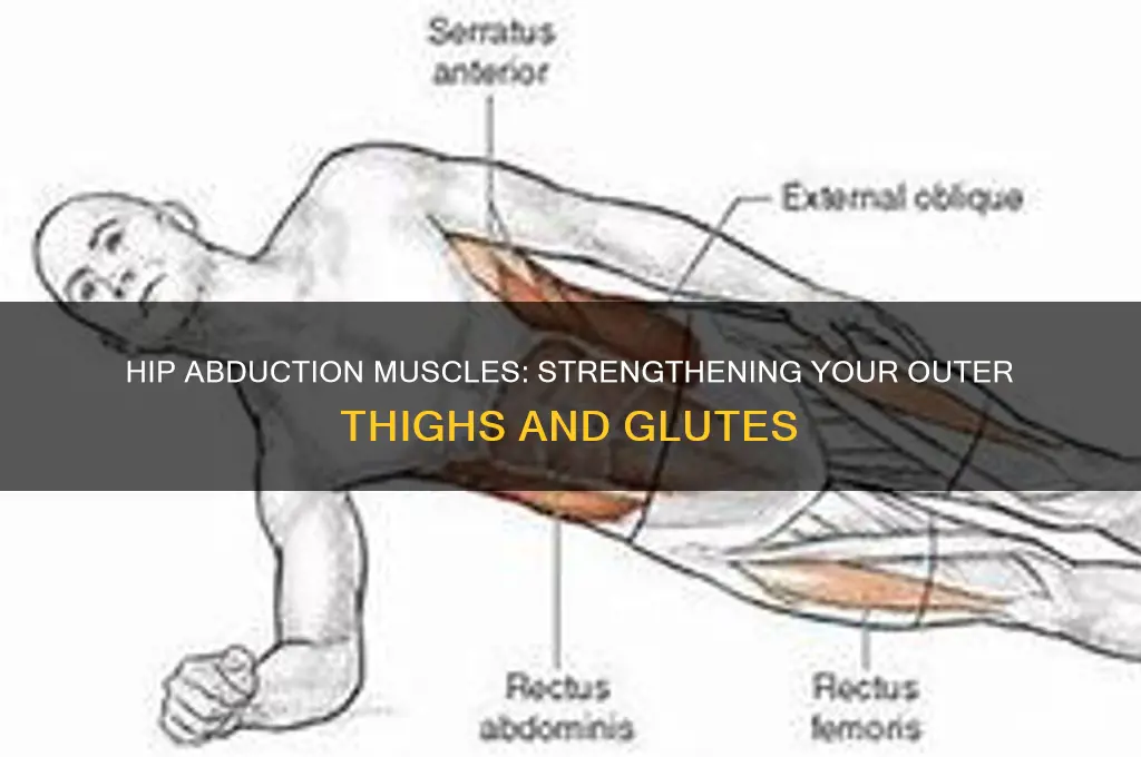 Hip Abduction Muscles: Strengthening Your Outer Thighs And Glutes | CyVigor