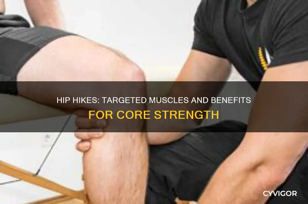 Hip Hikes: Targeted Muscles And Benefits For Core Strength | CyVigor