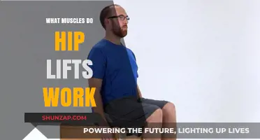 Hip Raises: Targeted Muscles And Benefits For Stronger Glutes And Core ...