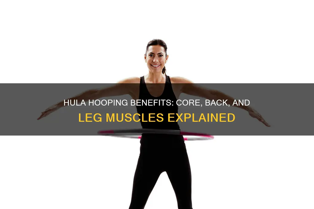 Hula Hooping Benefits: Core, Back, And Leg Muscles Explained | CyVigor
