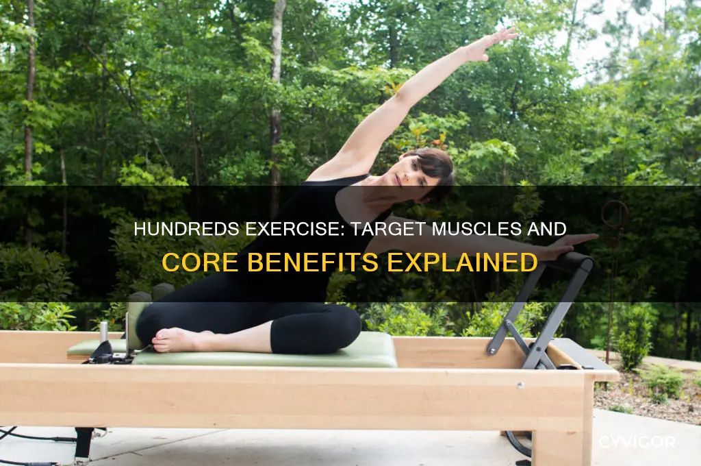 Hundreds Exercise: Target Muscles And Core Benefits Explained | CyVigor