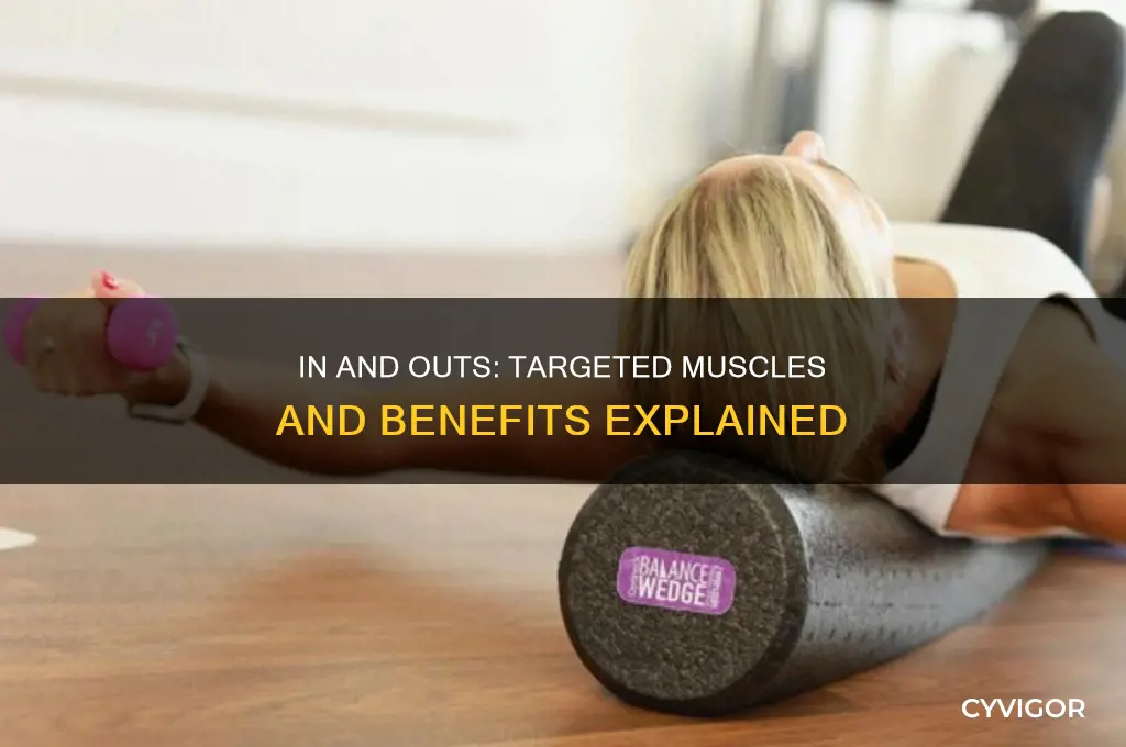 In And Outs: Targeted Muscles And Benefits Explained | CyVigor