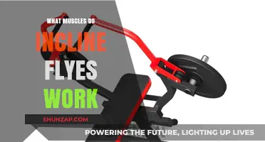 Targeted Muscles: How I's, Y's, And T's Strengthen Your Upper Back ...