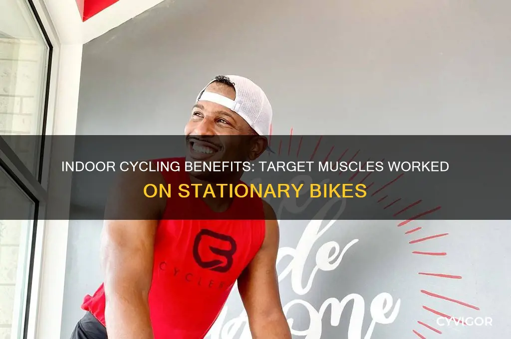 Indoor Cycling Benefits: Target Muscles Worked On Stationary Bikes ...