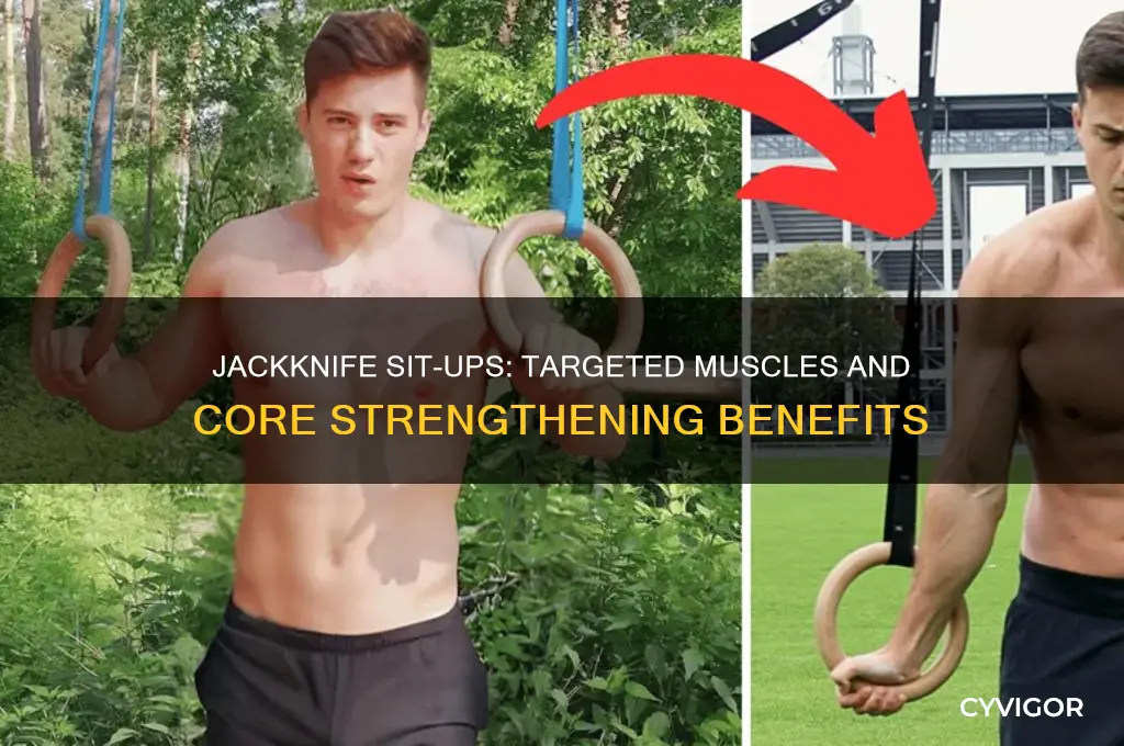 Jackknife Sit-Ups: Targeted Muscles And Core Strengthening Benefits ...