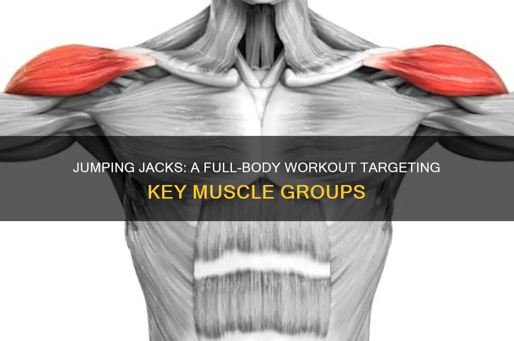 Jumping Jacks: A Full-Body Workout Targeting Key Muscle Groups | CyVigor