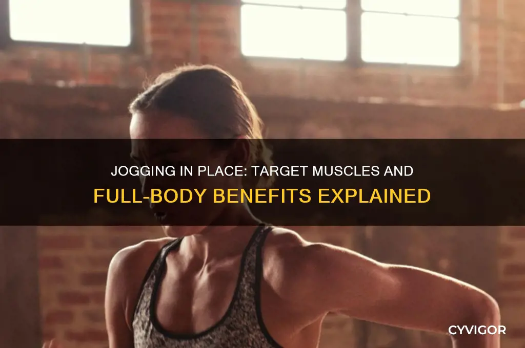 Jogging In Place: Target Muscles And Full-Body Benefits Explained | CyVigor