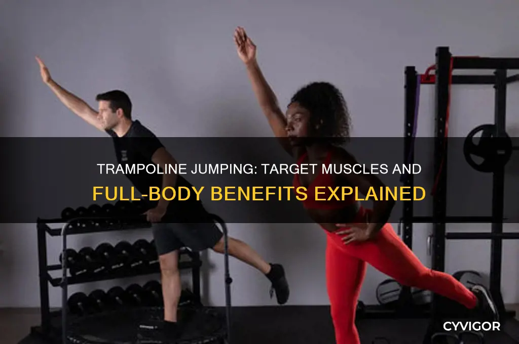 Trampoline Jumping: Target Muscles And Full-Body Benefits Explained ...