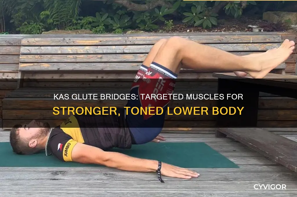 Kas Glute Bridges: Targeted Muscles For Stronger, Toned Lower Body ...