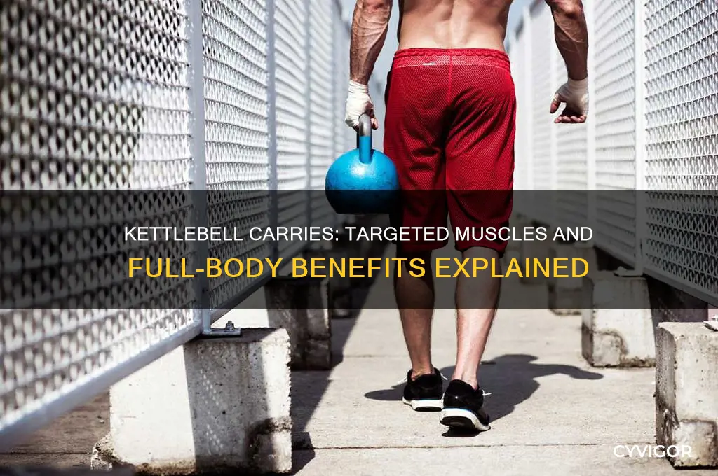 Kettlebell Carries: Targeted Muscles And Full-Body Benefits Explained ...