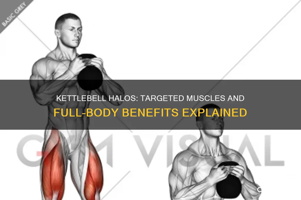 Kettlebell Halos: Targeted Muscles And Full-Body Benefits Explained ...