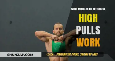 Knee Drives: Targeted Muscles And Benefits For Lower Body Strength ...