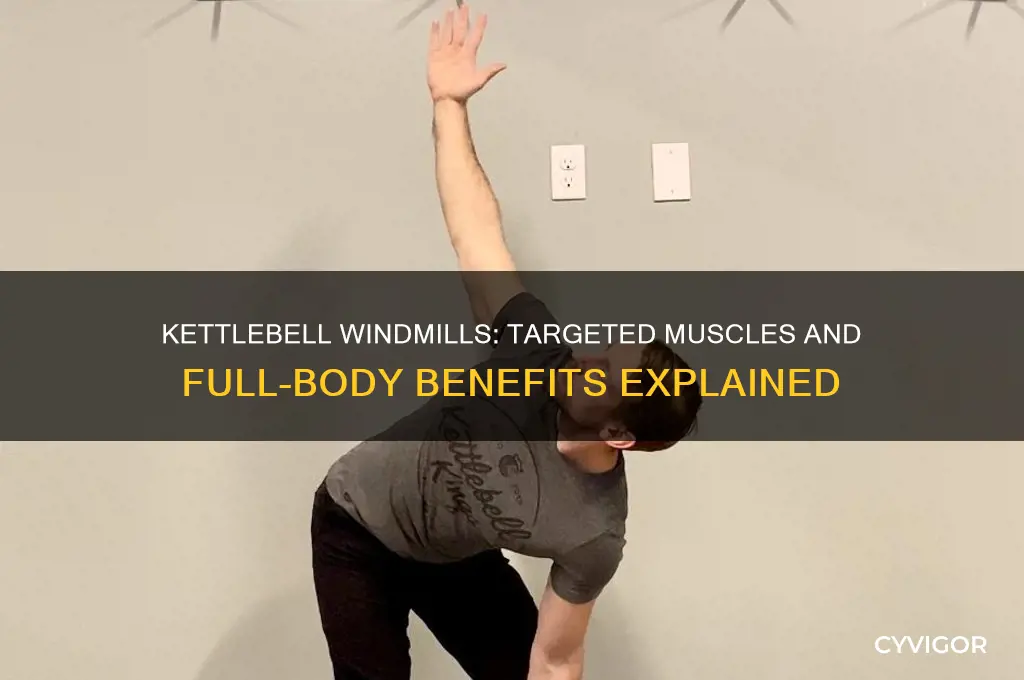 Kettlebell Windmills: Targeted Muscles And Full-Body Benefits Explained ...