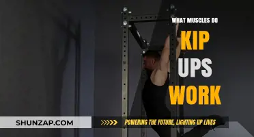 Knee To Chest Exercise: Target Muscles And Benefits Explained | CyVigor