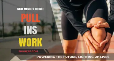 Knee Hugs: Targeted Muscles And Benefits For Flexibility And Strength ...