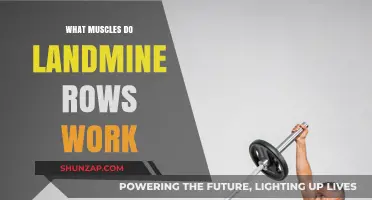 Lateral Shuffles: Targeted Muscles For Agility And Lower Body Strength ...