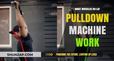 Lateral Shuffles: Targeted Muscles For Agility And Lower Body Strength ...
