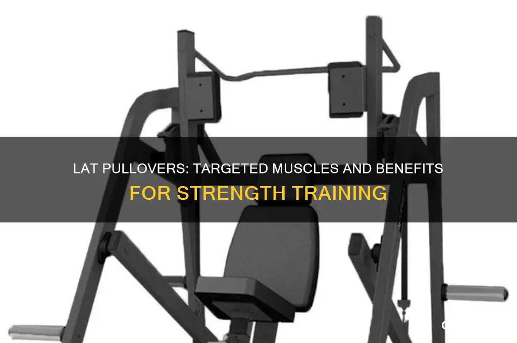 Lat Pullovers: Targeted Muscles And Benefits For Strength Training ...