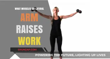 Lateral Leg Lifts: Targeted Muscles And Benefits Explained | CyVigor