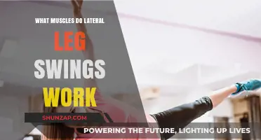 Lateral Shuffles: Targeted Muscles For Agility And Lower Body Strength ...