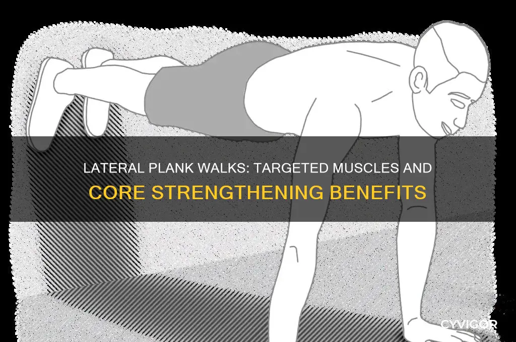 Lateral Plank Walks: Targeted Muscles And Core Strengthening Benefits ...