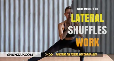 Lateral Leg Lifts: Targeted Muscles And Benefits Explained | CyVigor