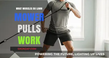 Lateral Shuffles: Targeted Muscles For Agility And Lower Body Strength ...